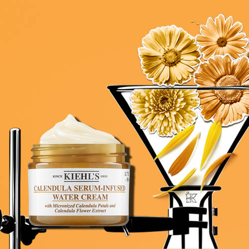 CONOCE EL ÚLTIMO LANZAMIENTO DE LA FAMILIA DE CALENDULA